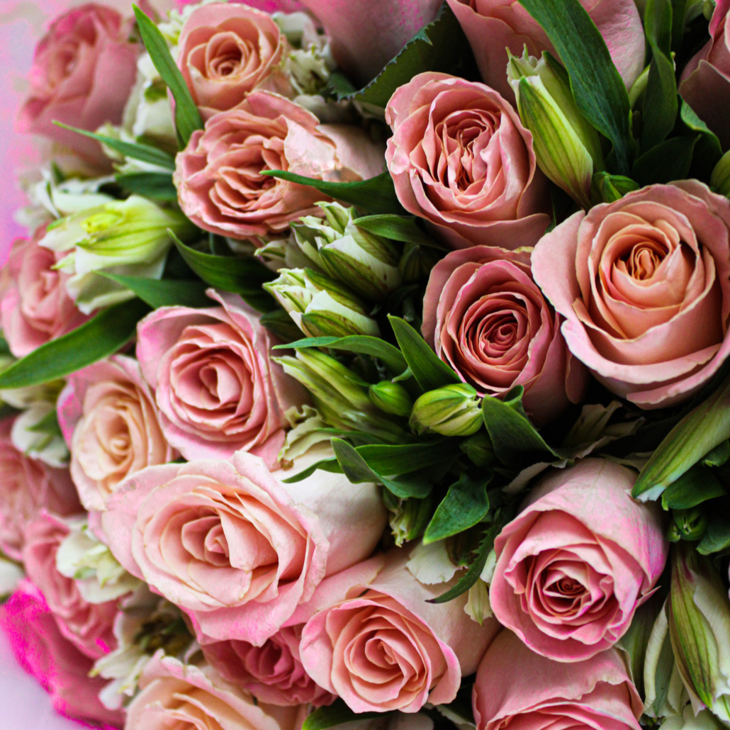Bouquet 24 Rosas color rosa. – Regalo Floral